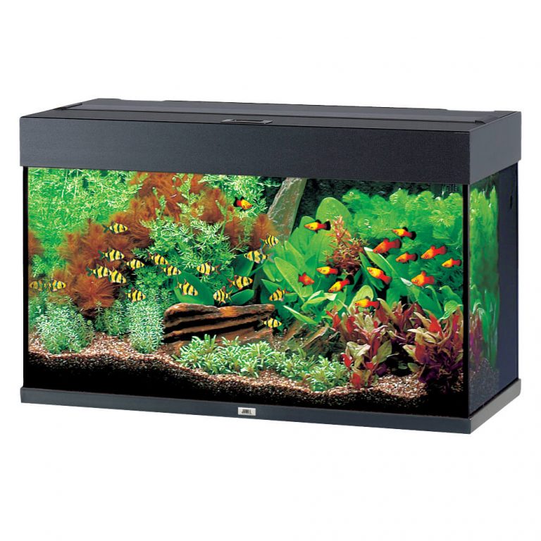 Akvarium | 30 til 180 liter akvarium fra Juwel og flere merkevarer!