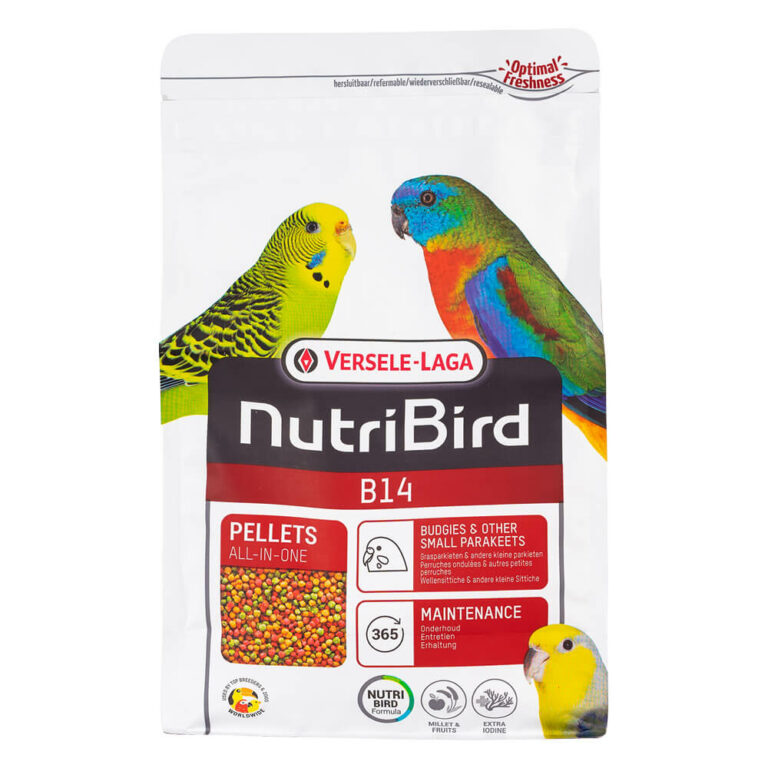 Undulat Arkiver - Dyrebutikken Buddy